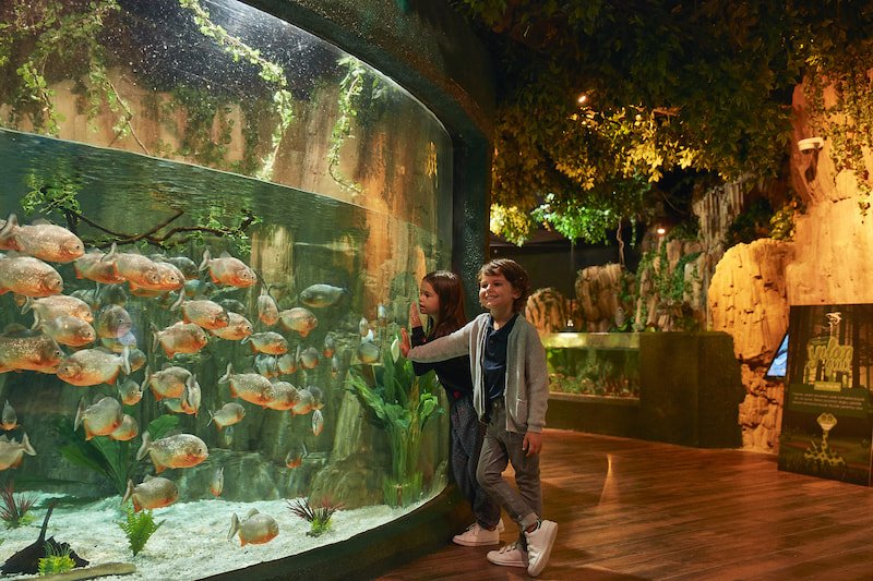 Ulaz u akvarij Emaar i podvodni zoološki vrt - Istanbul.com