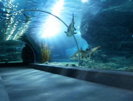 Istanbul Aquarium Entry Ticket - Istanbul.com